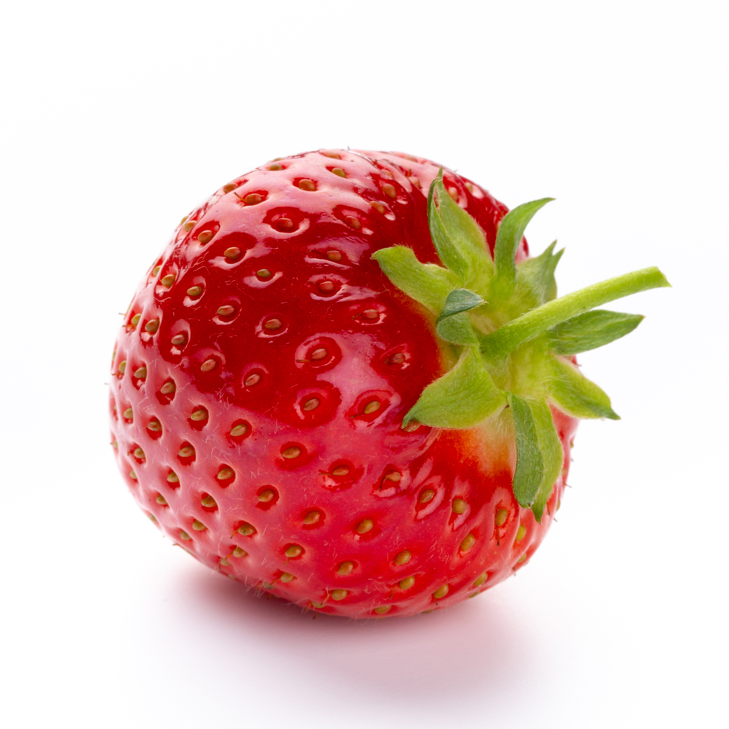 Tout ce qu’il faut savoir sur la fraise, et plus encore